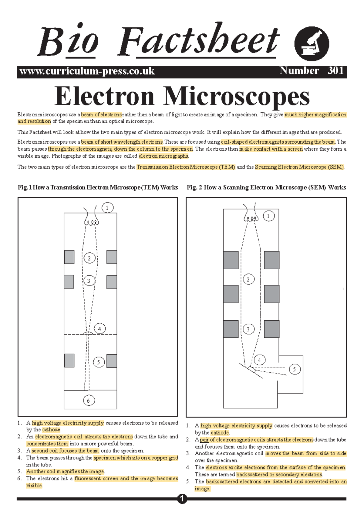 Electron Microscopes: A Comprehensive Bio Factsheet (301) - Studocu