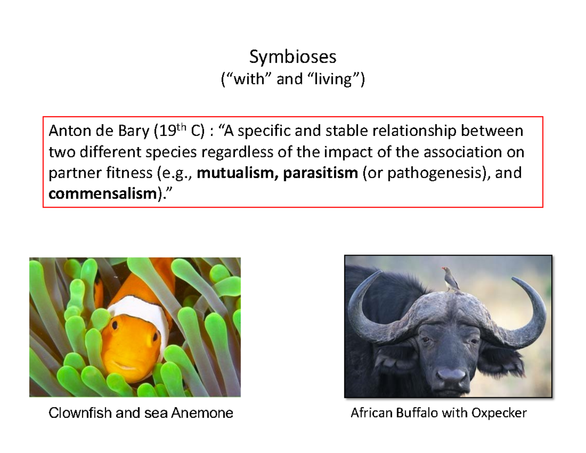 Understanding Symbiotic Relationships in Ecology and Evolution ...
