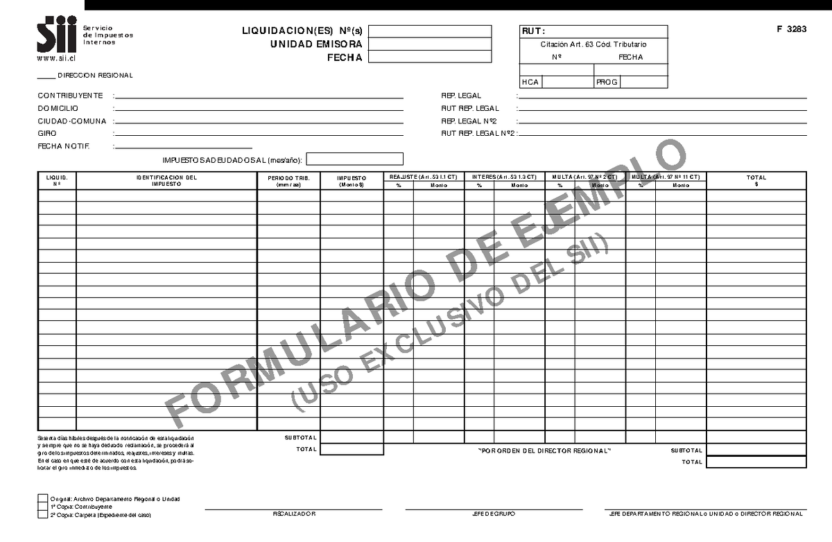 Formulario Liquidacion - FORMULARIO DE EJEMPLO (USO EXCLUSIVO DEL SII ...