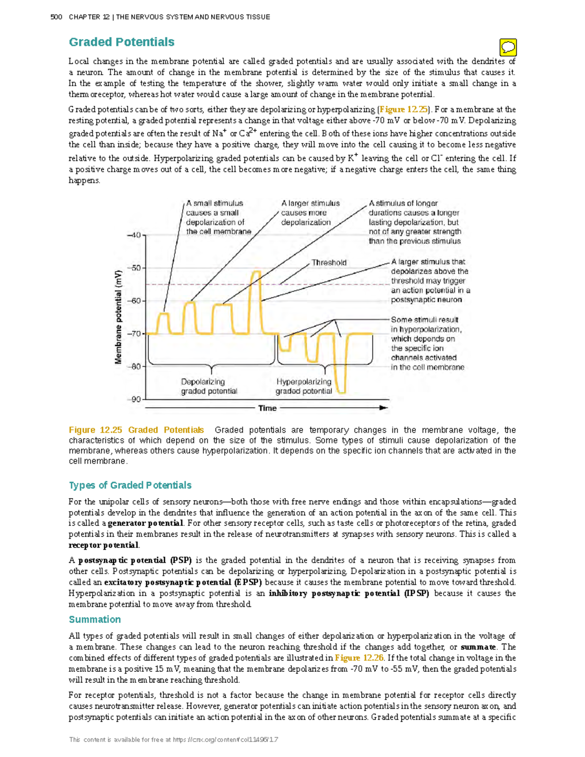 Anatomy-physiology-170 - Graded Potentials Local changes in the ...