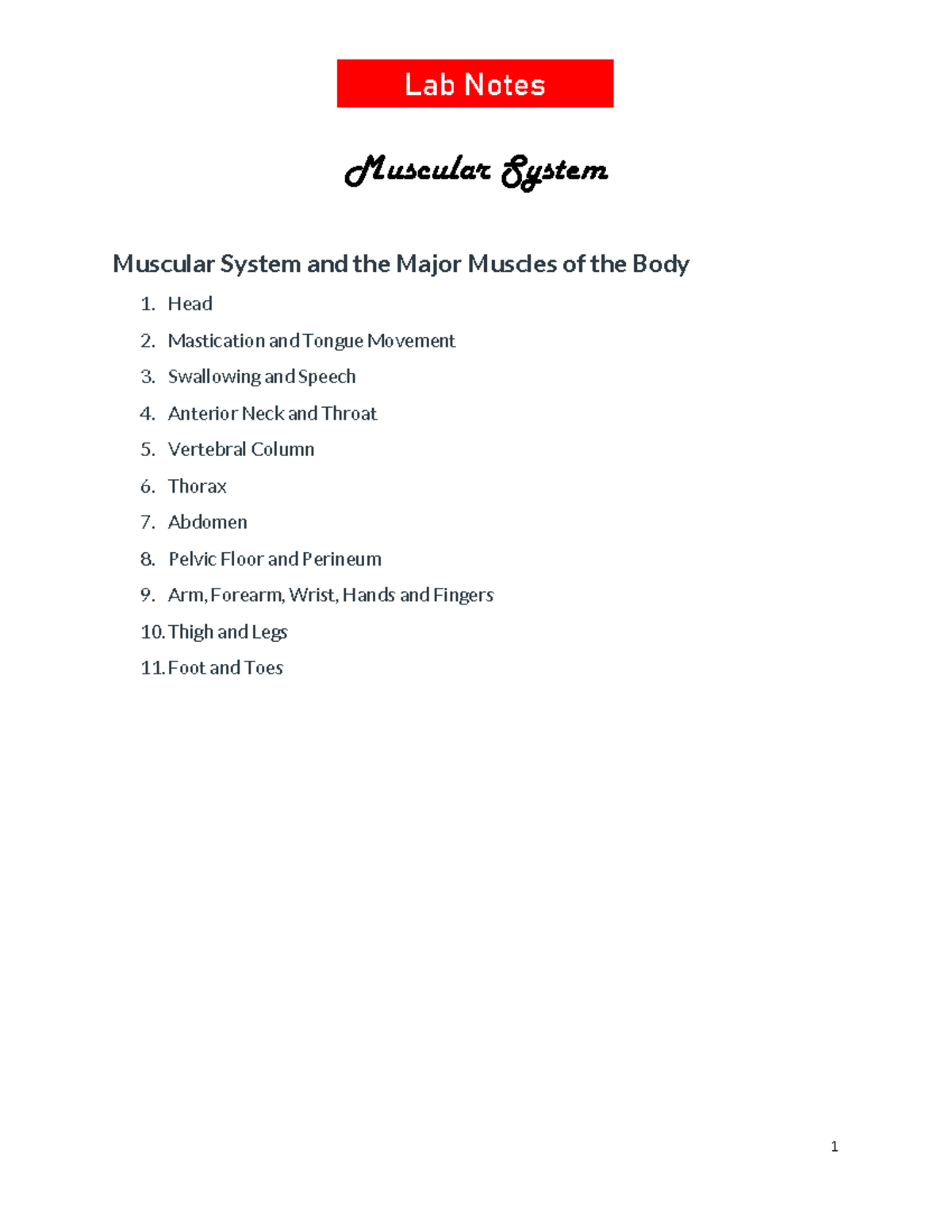 Lab Notes (W10) Muscular System: Major Muscles Overview - Studocu