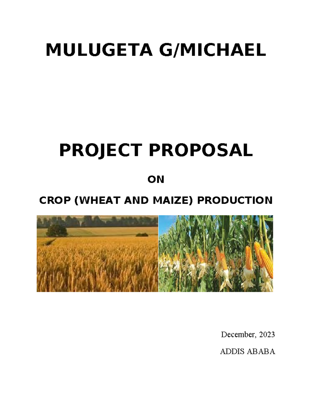 MULUGETA Project Proposal: Wheat & Maize Production Business Plan - Studocu