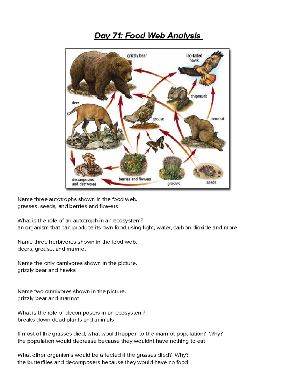 Biology 101 - Day 71 Food Web Analysis & Ecosystem Impact - Studocu
