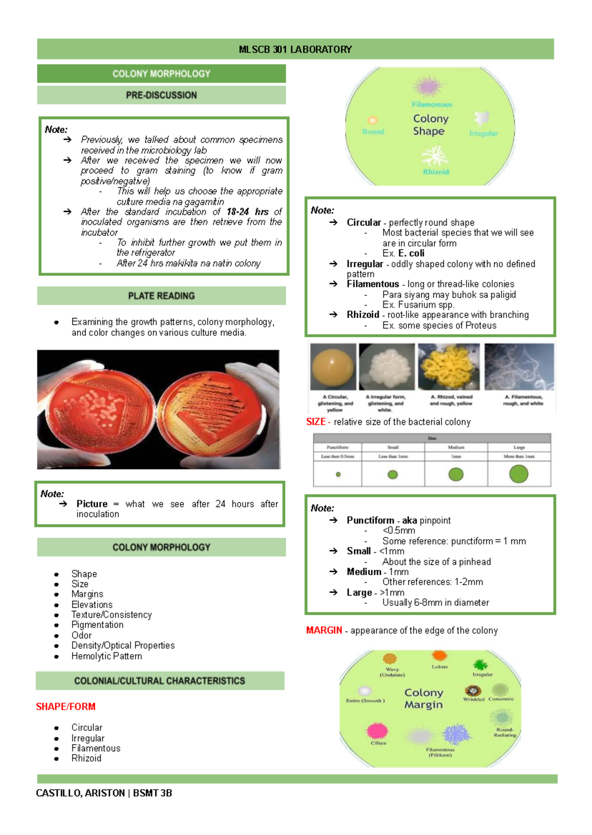 MLSCB 301 LABORATORY: Colony Morphology and Characteristics - Studocu