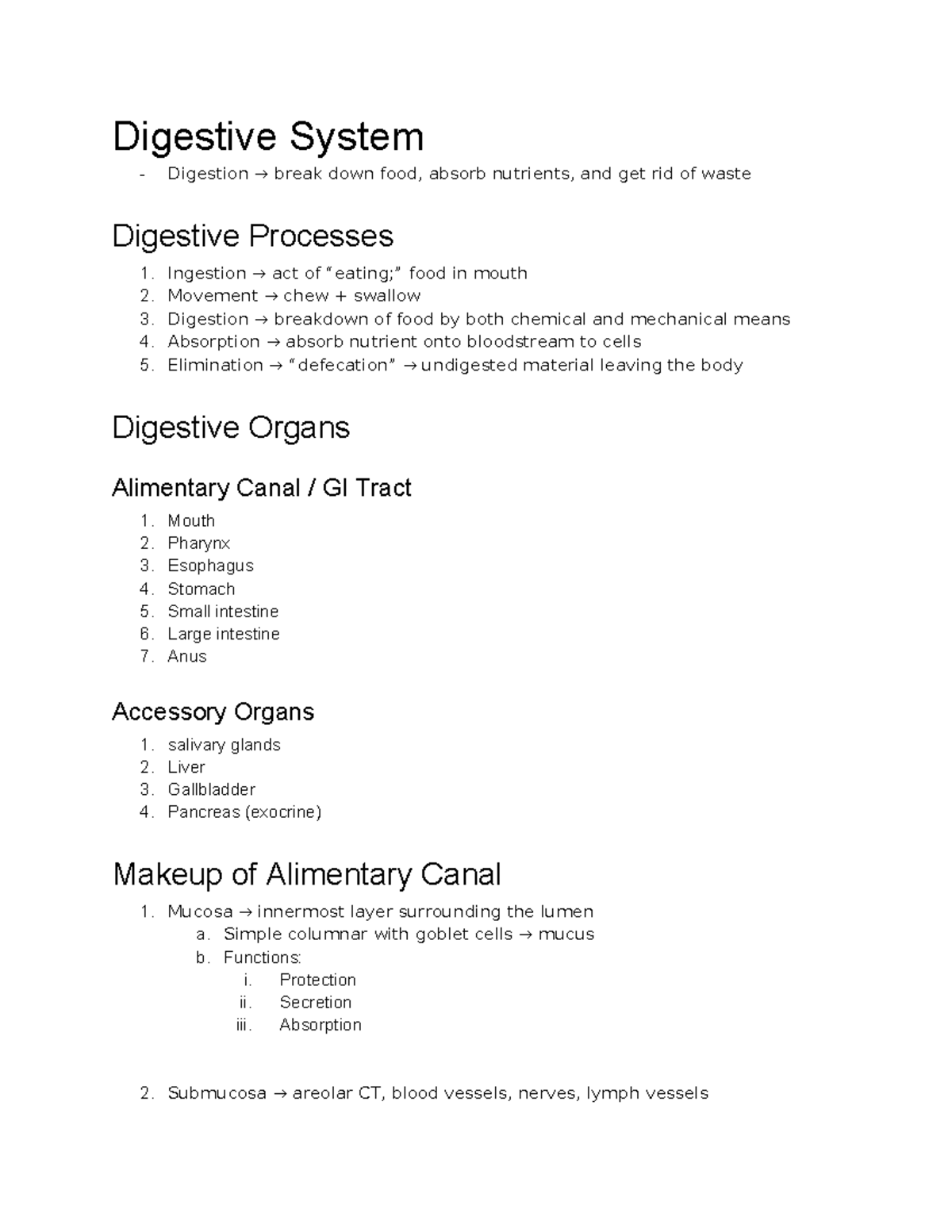 Digestive System Overview: Processes and Organ Functions - Digestive ...