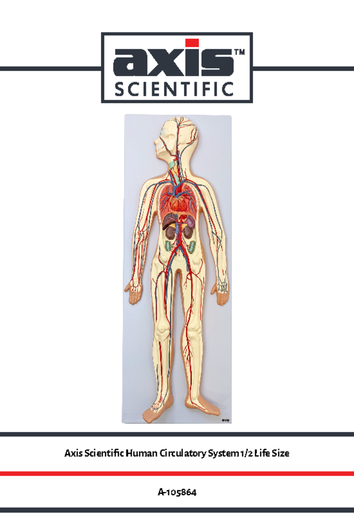 A-105864 Product Manual Web Version - Axis Scientific Human Circulatory ...
