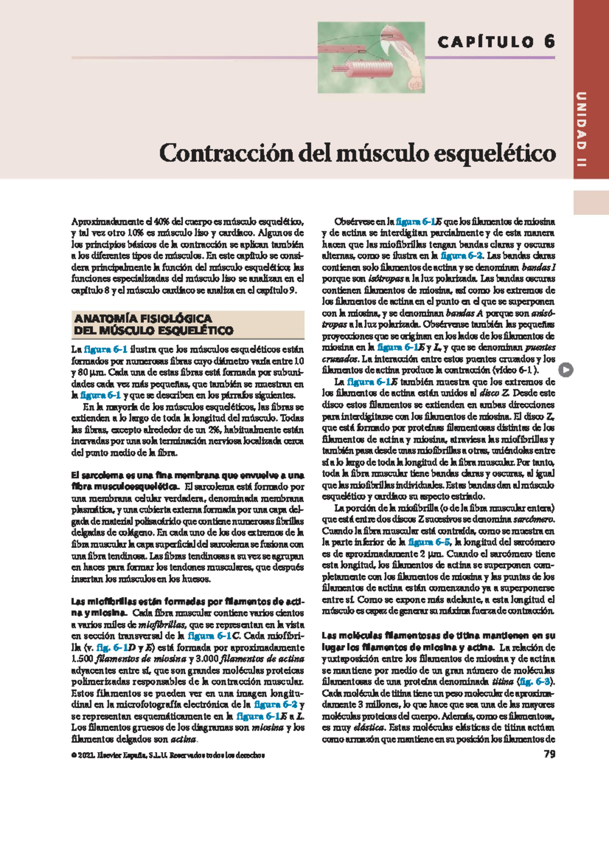 Capítulo 6: Fisiología del Músculo Esquelético y Contracción Muscular ...