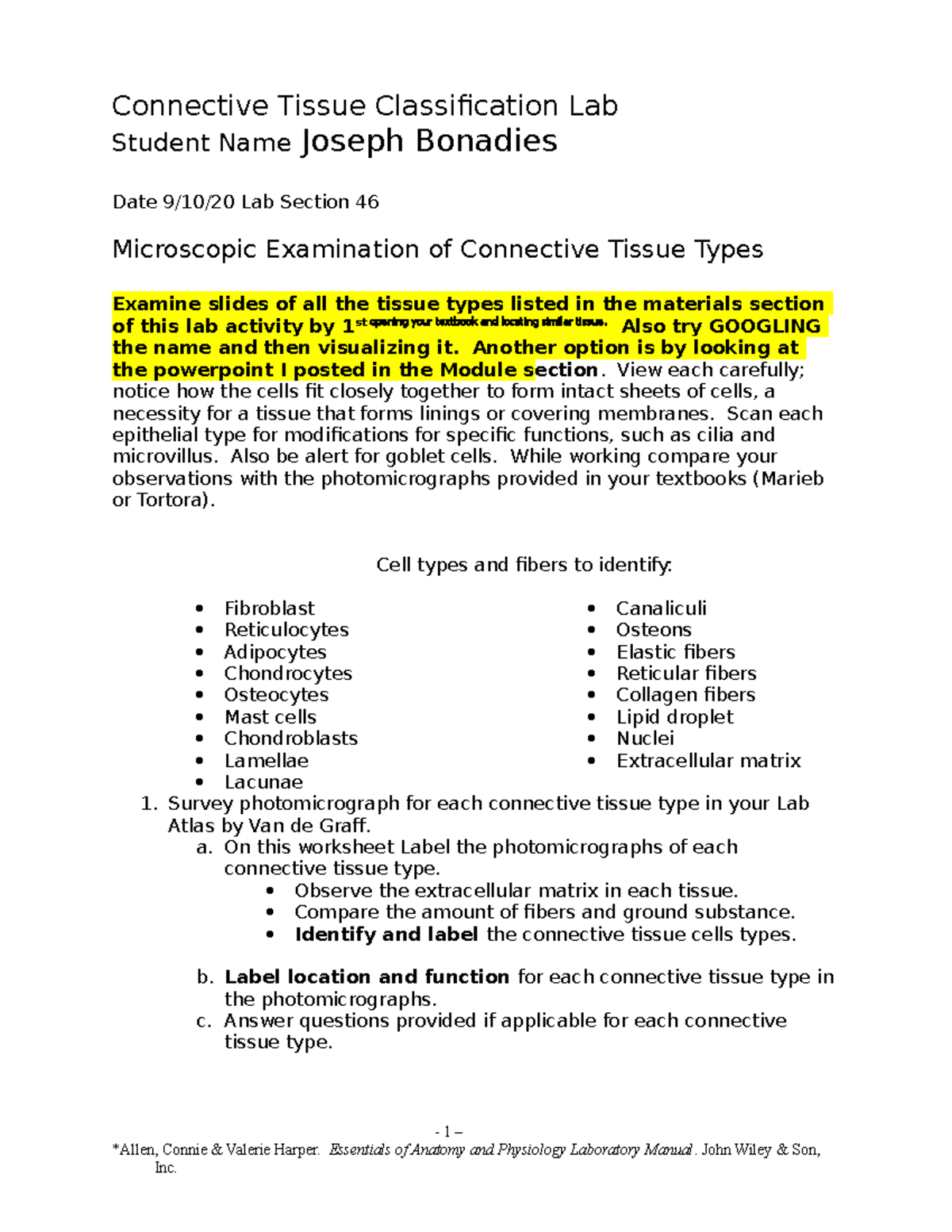 Laboratory Connective Tissue Worksheet - Connective Tissue ...