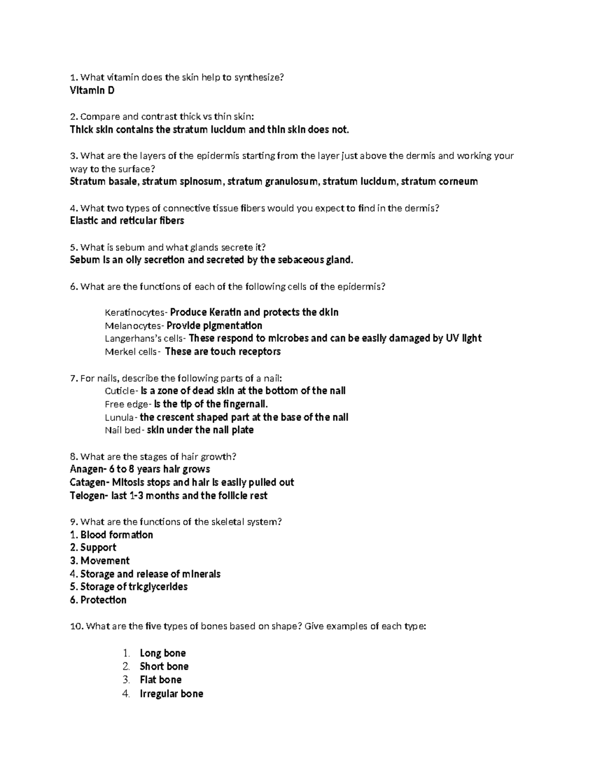BIO 202 Exam 3 Practice Test: Anatomy of Skin, Bones, and Joints - Studocu