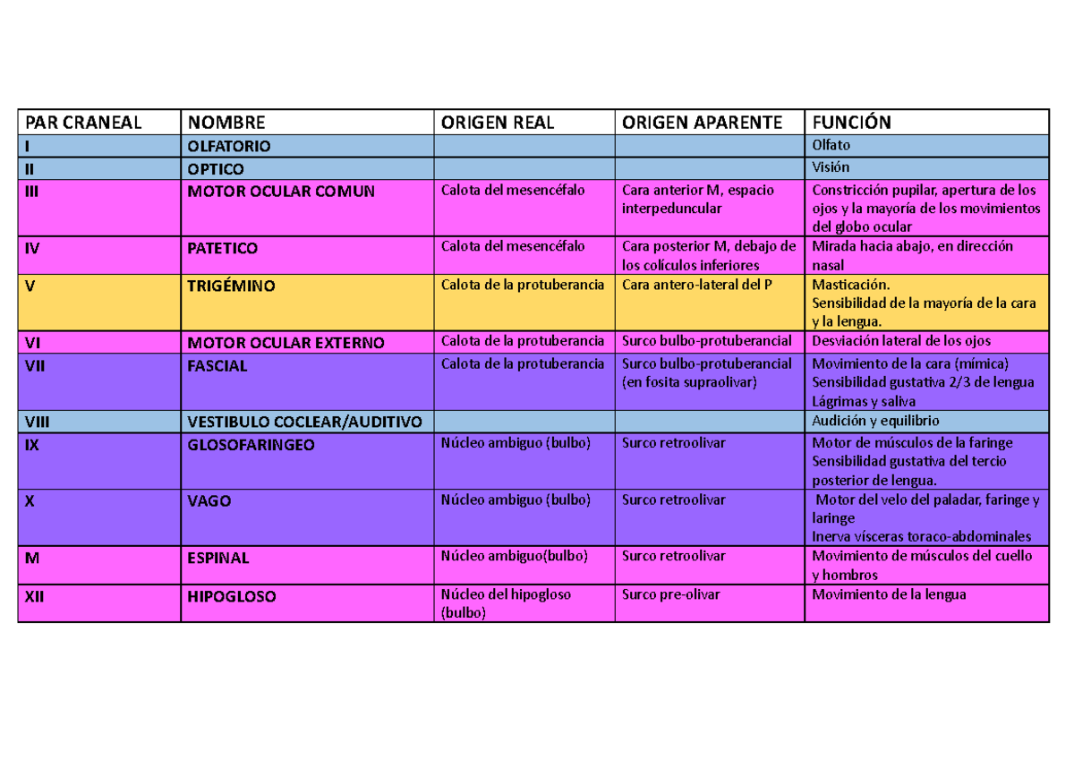 Pares Craneales: Comparativo de Origen y Funciones - Anatomía - Studocu