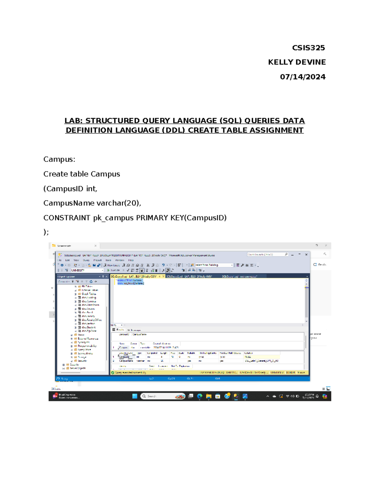 Lab 4: SQL Queries and Data Definition Language - CSIS325 - Studocu