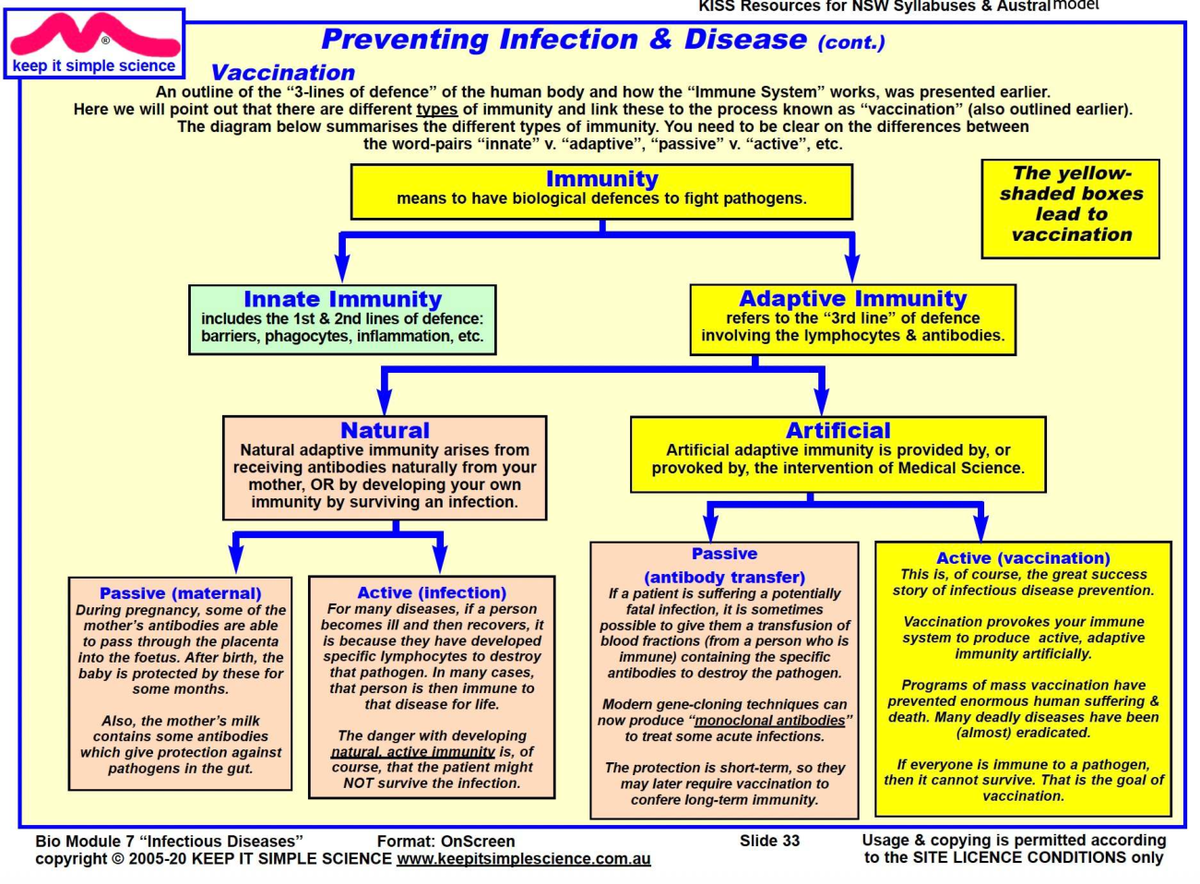 Immunity Flowchart: Understanding Types of Immunity in KISS Sci 101 ...