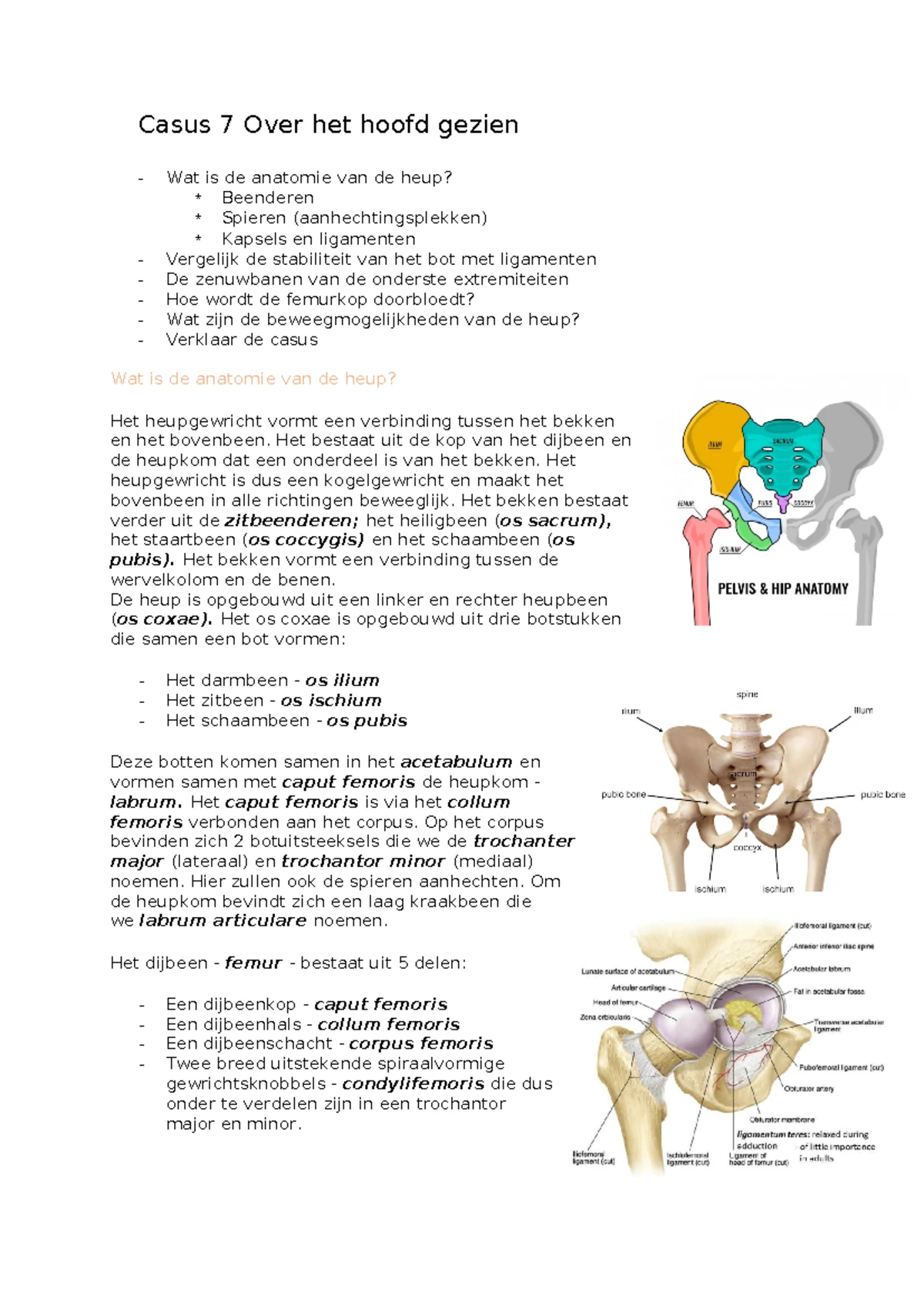 Casus 7 Een pijnlijke knie - Anatomie van het bot Er zijn verschillende ...