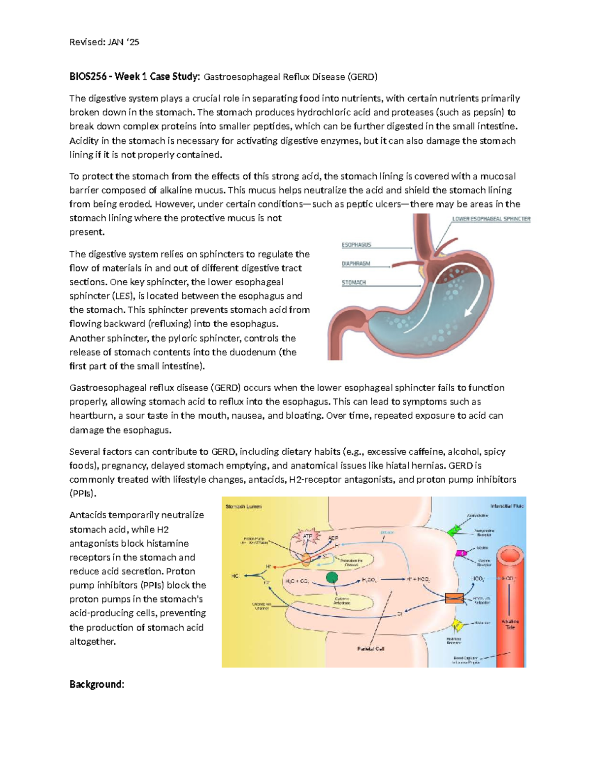 BIOS256 - WEEK 1 CASE Study: Understanding GERD in Siobhan Smith - Studocu