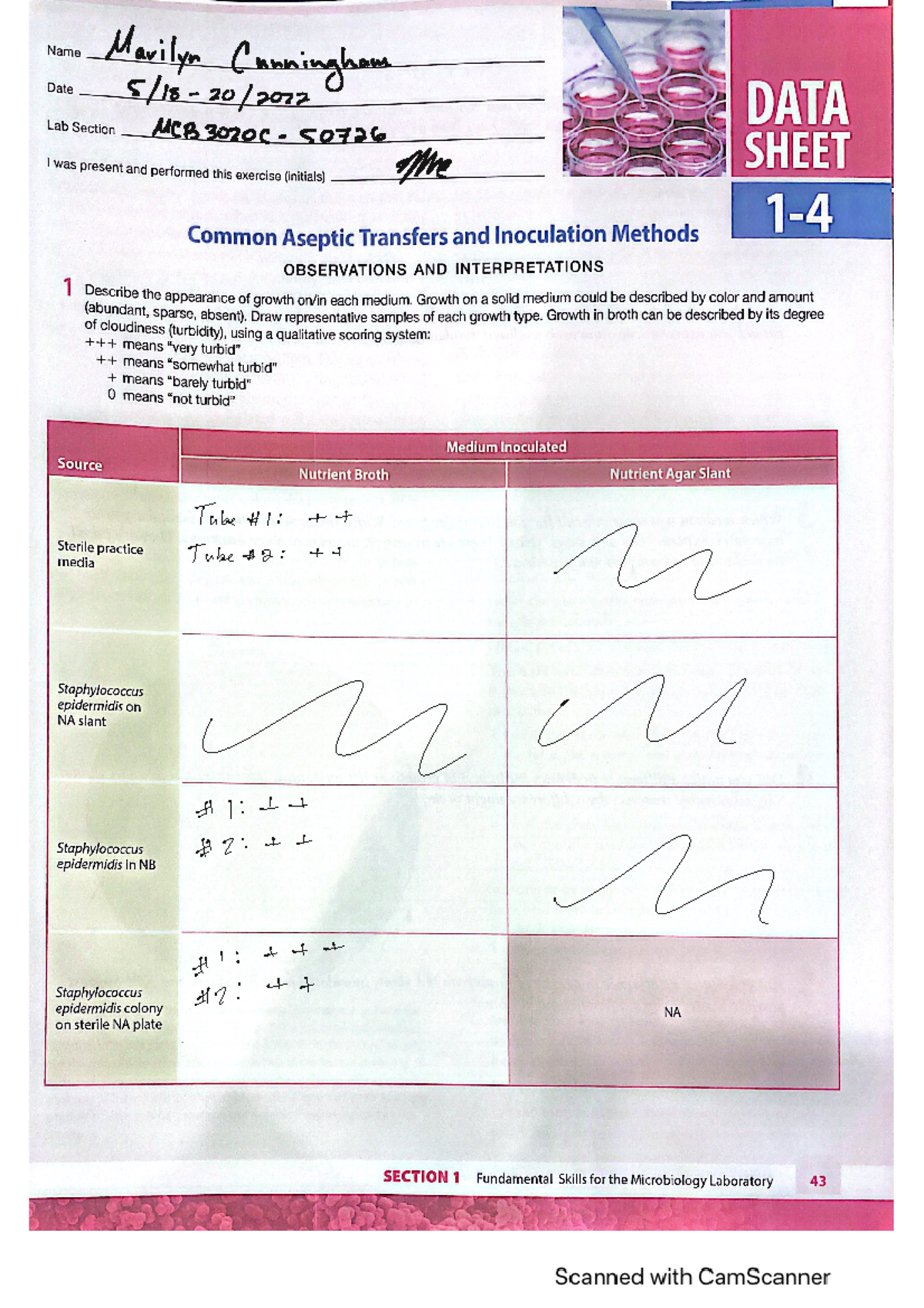 MCB Lab Manual 1.4 - Name Marilyn Cunningham Date DATA Lab Section I ...