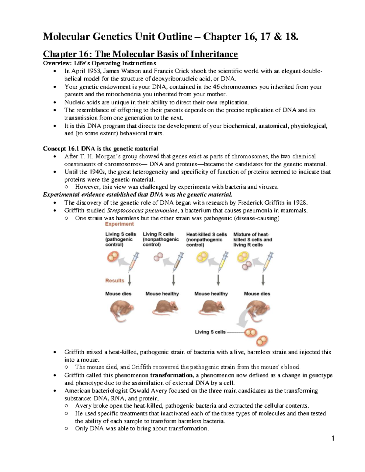 Molecular Genetics Overview (Chapter 16-18): DNA, Gene Expression ...