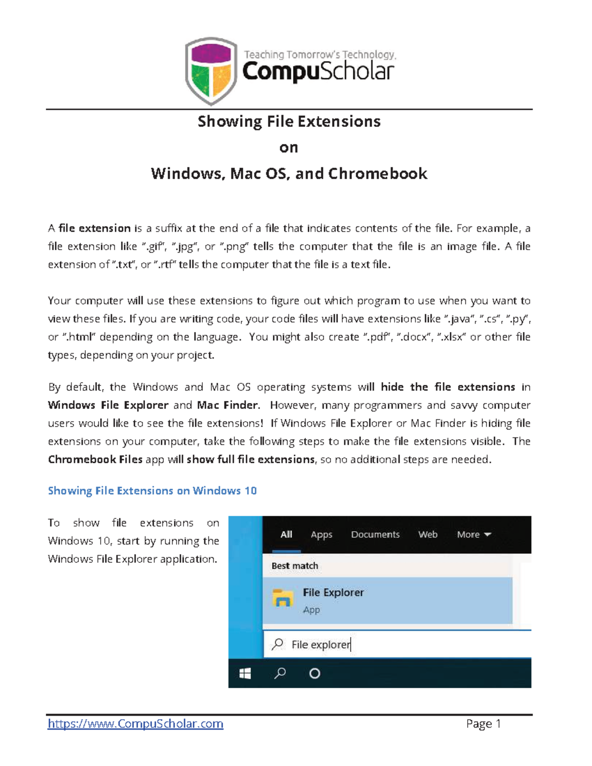 How to Show File Extensions on Windows, Mac OS, and Chromebook - Studocu