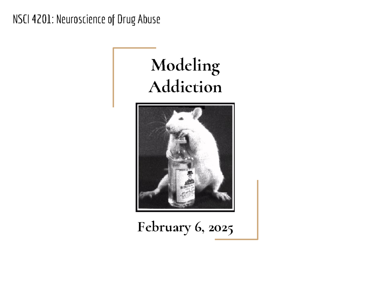 Modeling Addiction: Insights from Neuroscience of Drug Abuse (NSCI 4201 ...