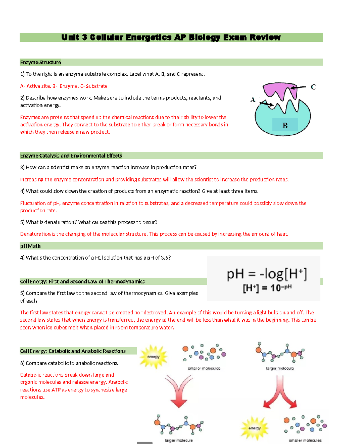 Unit 3 Cellular Energetics AP Biology Exam Review Notes - Studocu