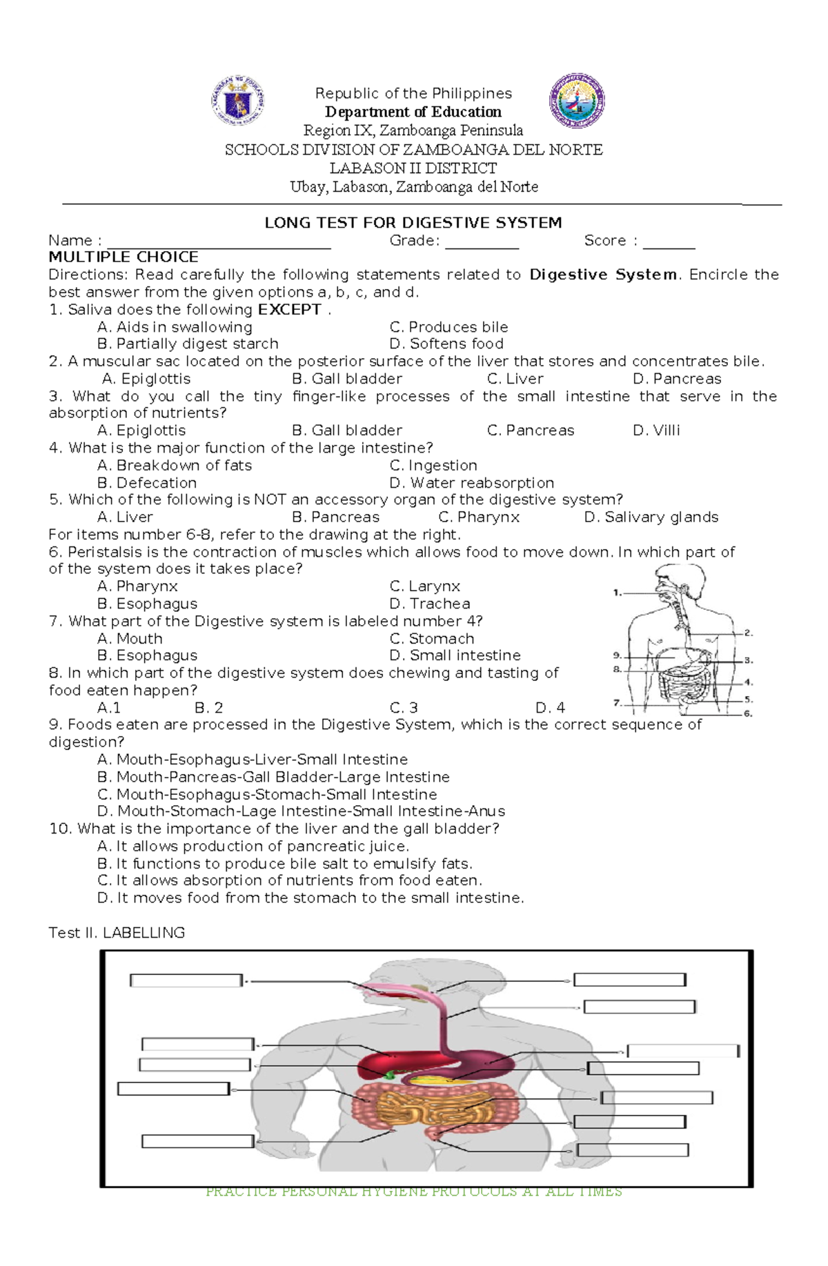 Digestive System Long Test Review for Grade 7 Students - Studocu