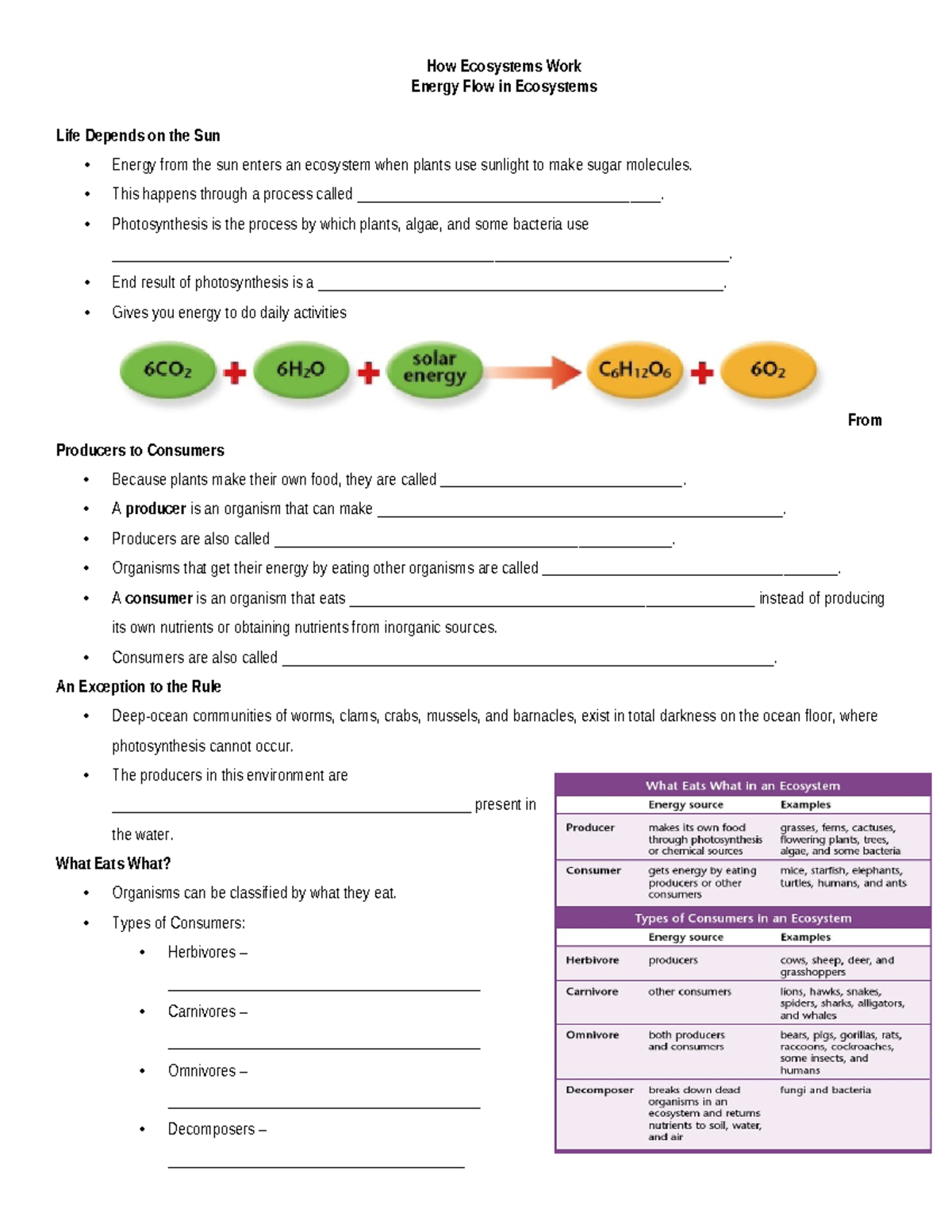 Energy Flow Notes - yahahahha - How Ecosystems Work Energy Flow in ...
