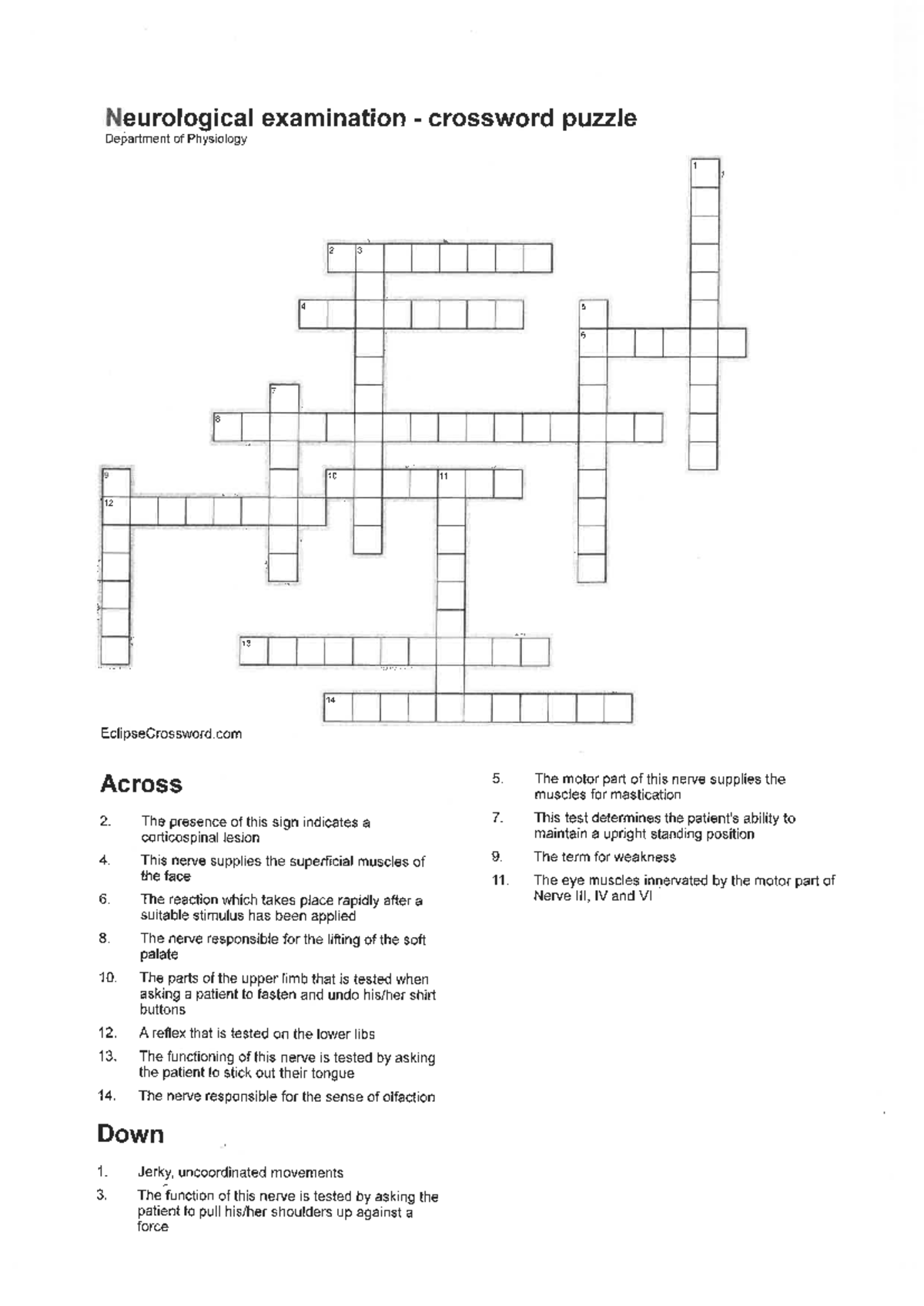 2024 Physiology Neurological Exam Crossword Puzzle - Studocu