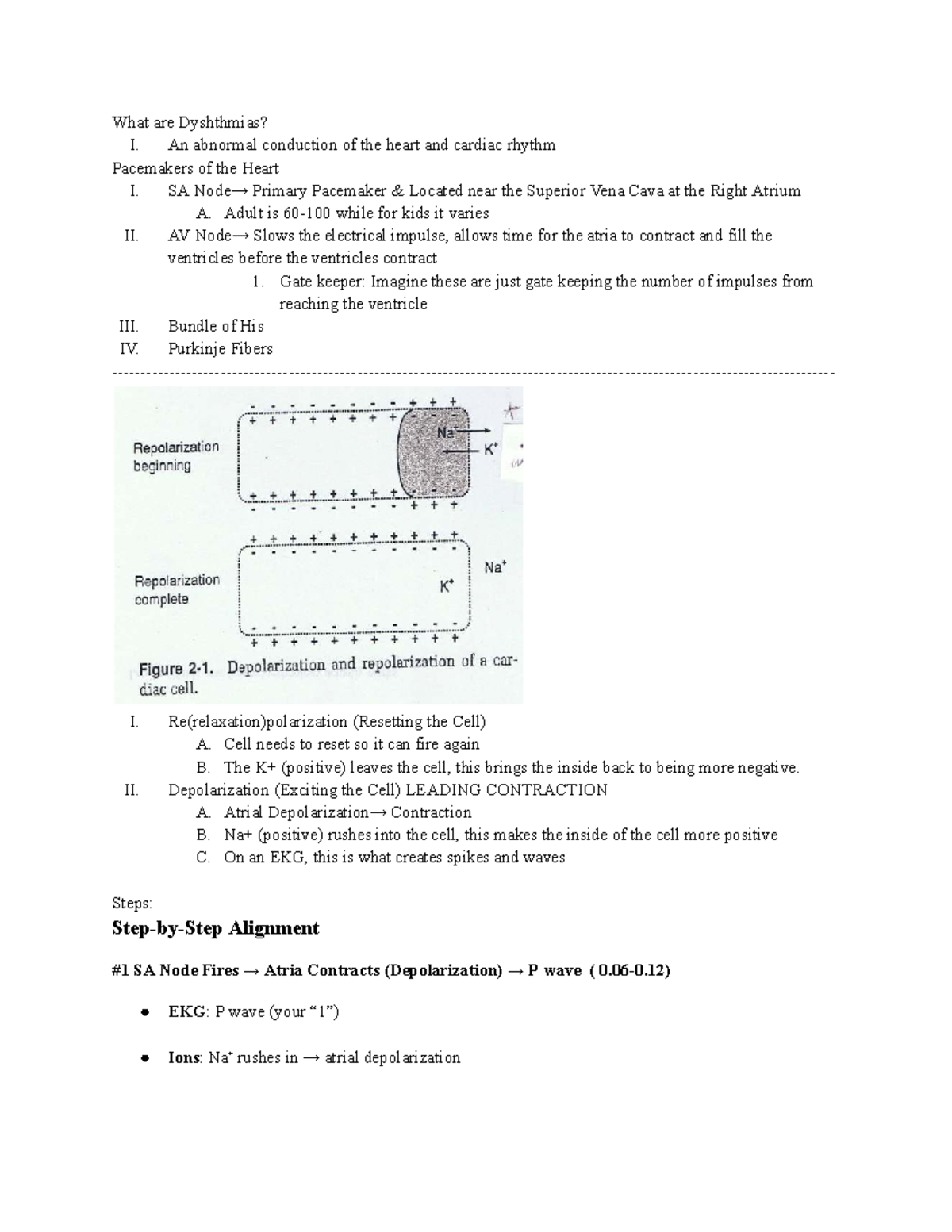 EKG Part I Lecture Notes: Understanding Heart Dyshthmias and Conduction ...