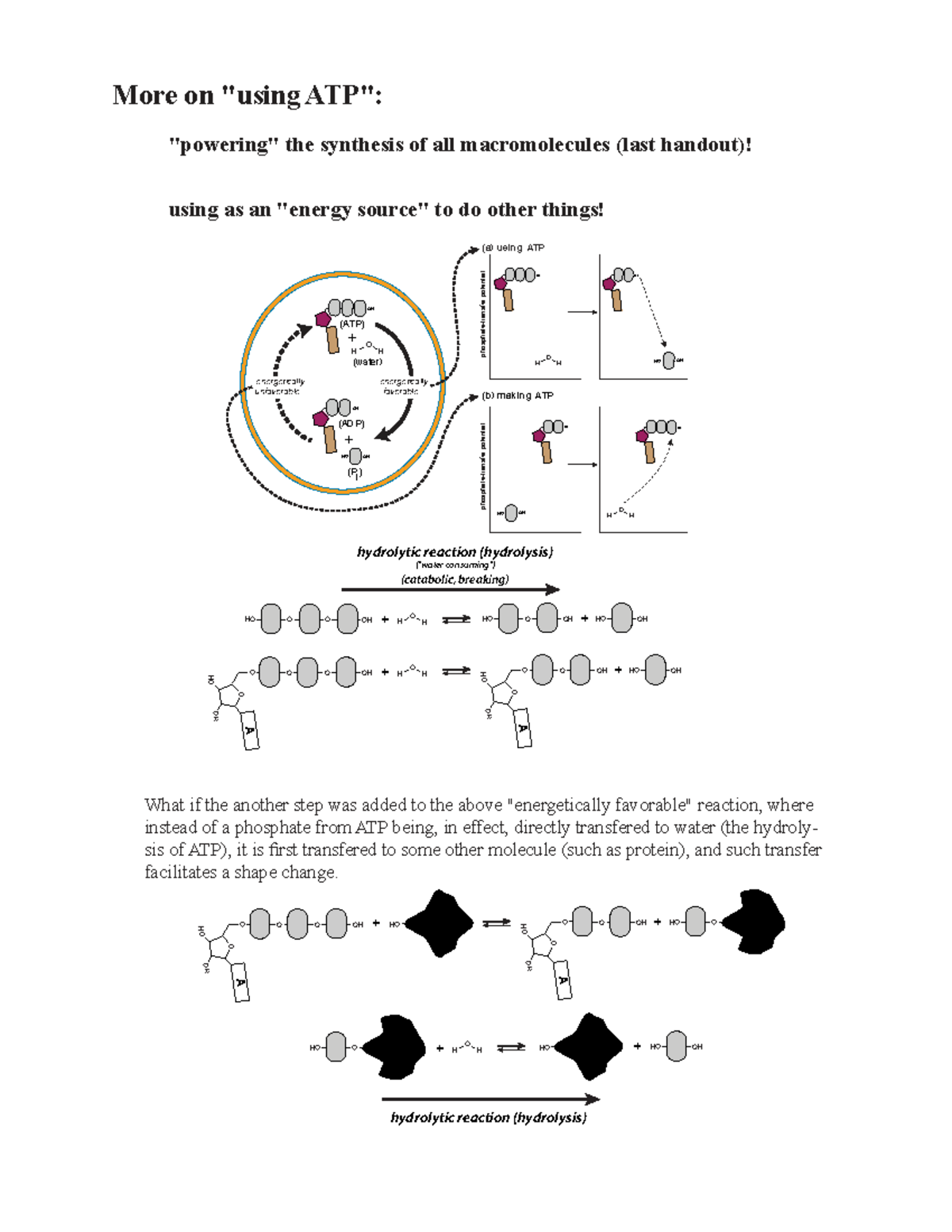 07 phosphate transfer (ATP use) - More on "using ATP": • "powering" the - Studocu