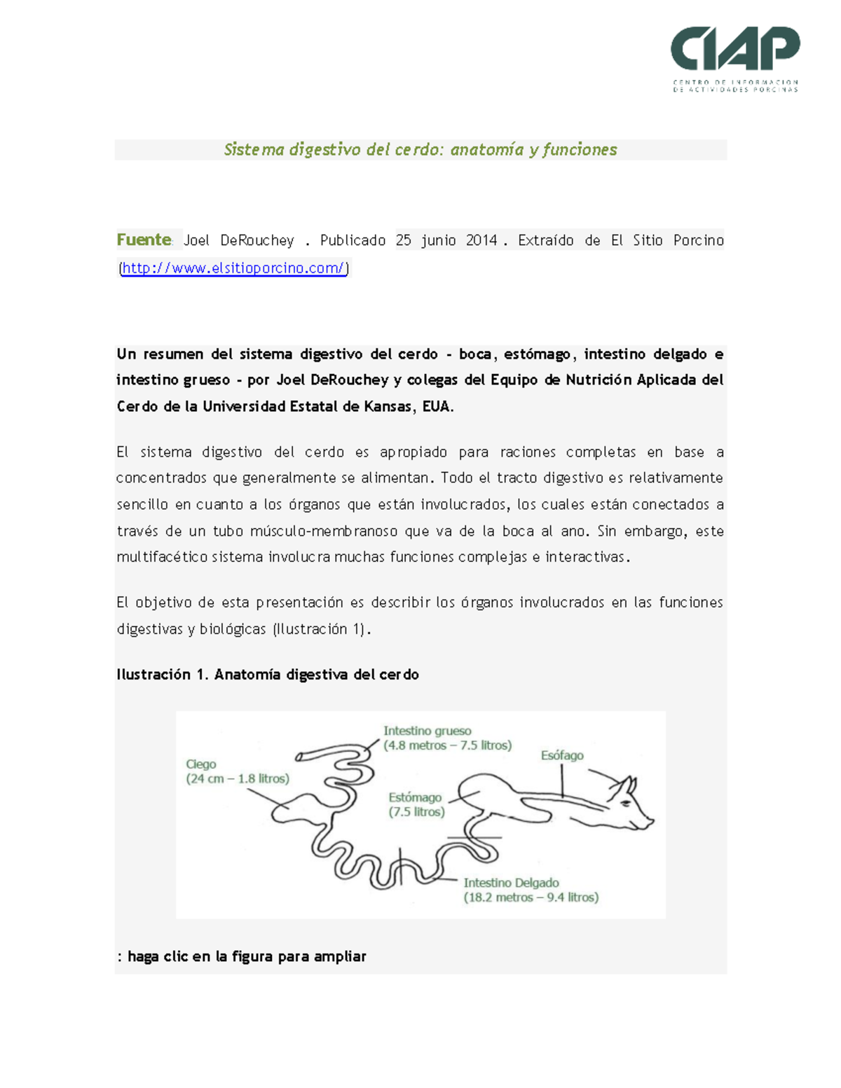 Anatomía y funciones del sistema digestivo del cerdo (Curso: Biología ...