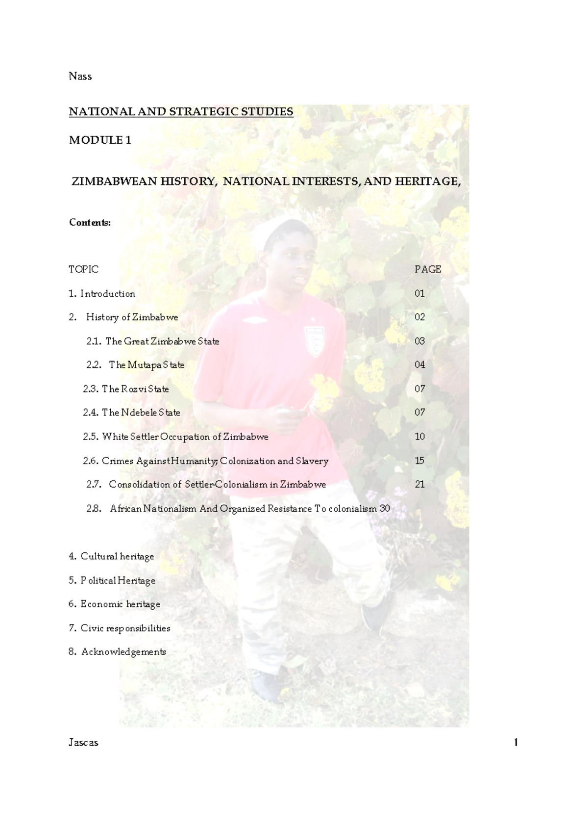 NASS 101: Zimbabwean History, National Interests & Heritage Overview ...