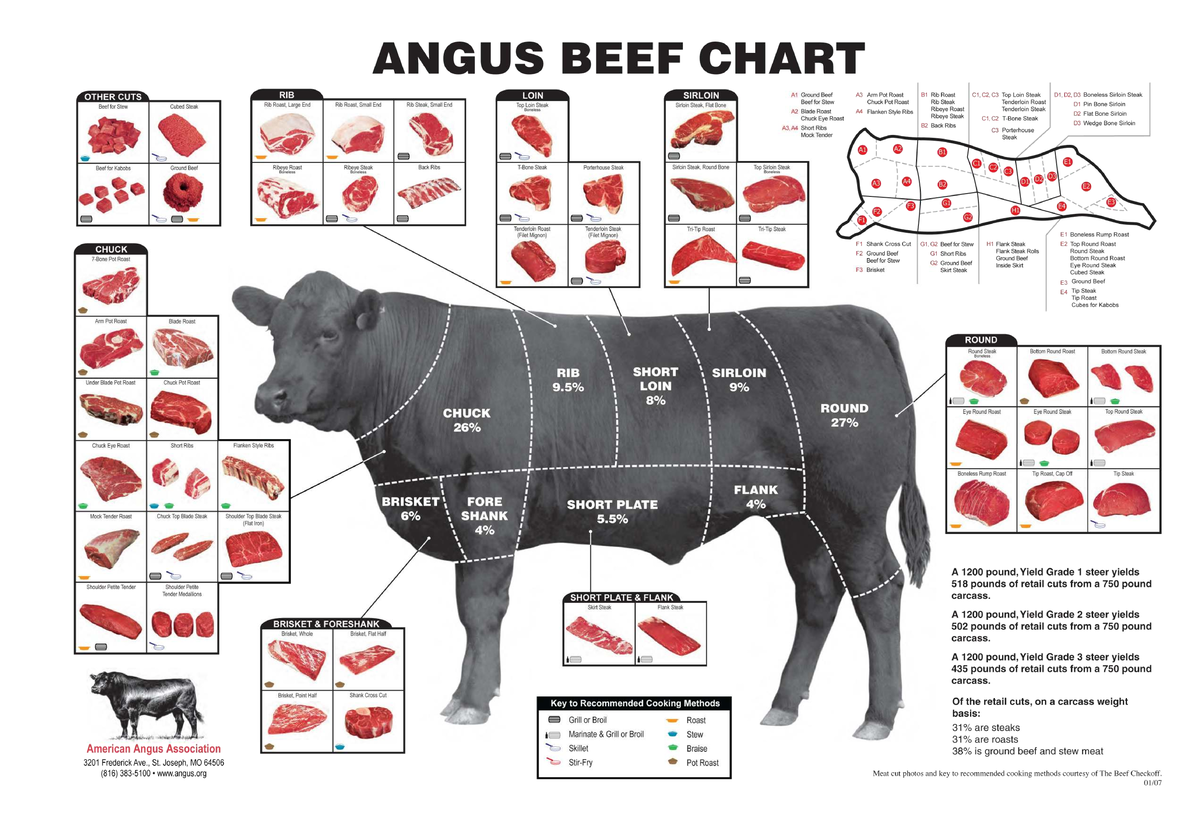 Angus Beef Cuts Chart: Rib, Loin, Sirloin & More - Studocu