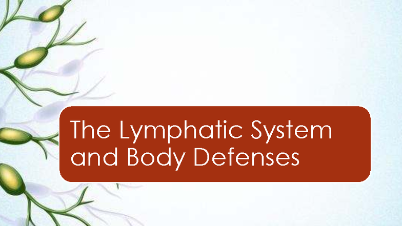 The Lymphatic System and Body Defenses: Key Concepts and Functions - Studocu