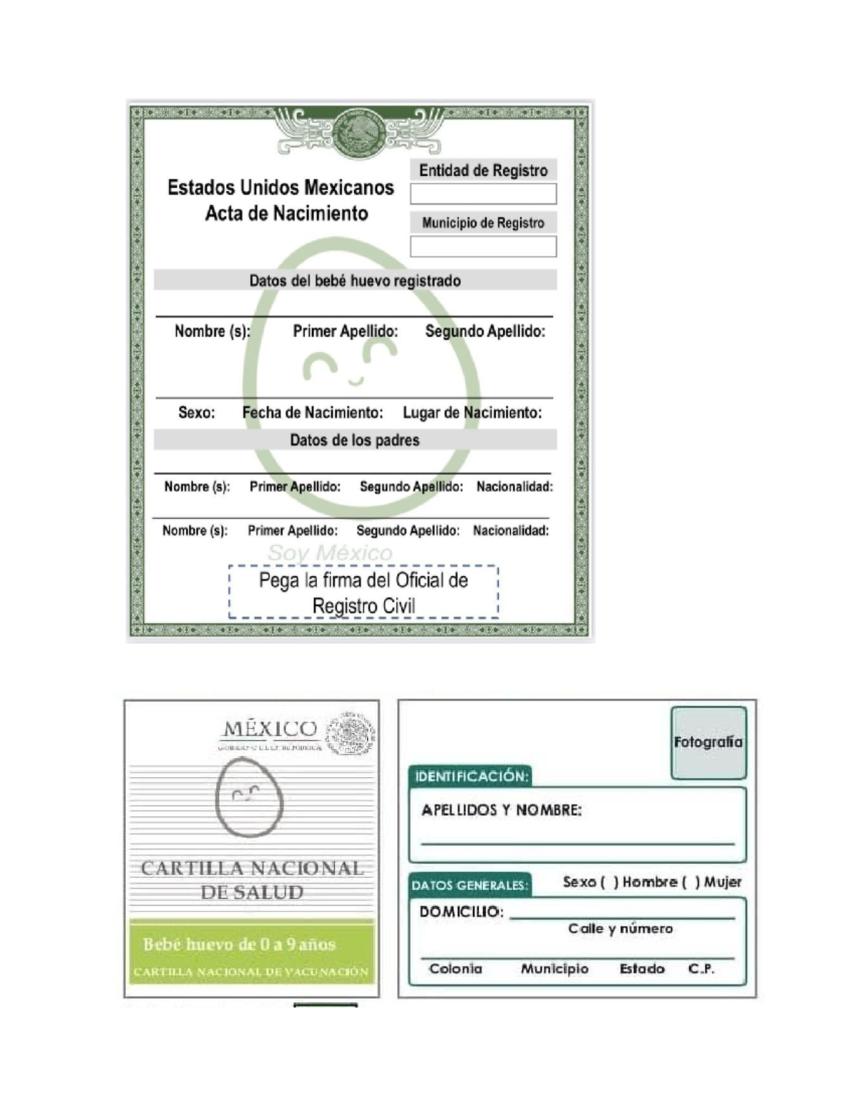 ACTA de Nacimiento y Cartilla Nacional de Vacunación en México - Studocu
