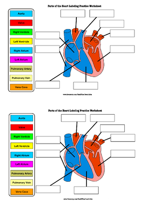 characteristics of the sun - The sun, explained Learn more about the ...