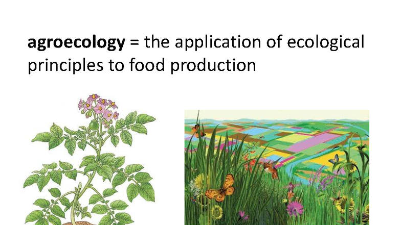 W10 W Agroecology: Class Notes on Ecological Principles in Food ...