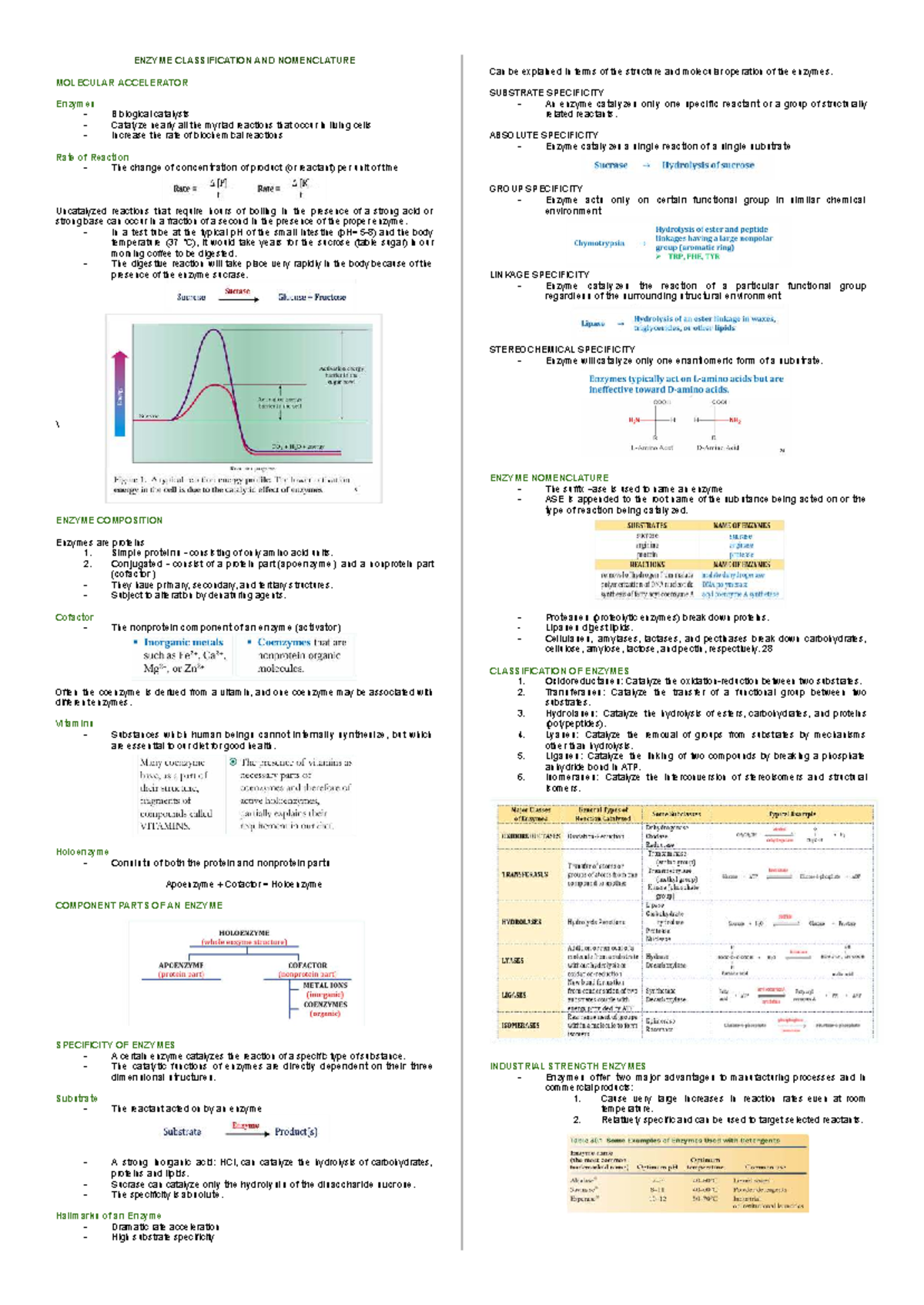 Biochem I Lesson 5: Enzyme Classification & Nomenclature Review - Studocu