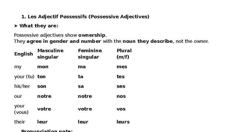 French Possessive Adjectives & Family Vocabulary Exercises - Studocu