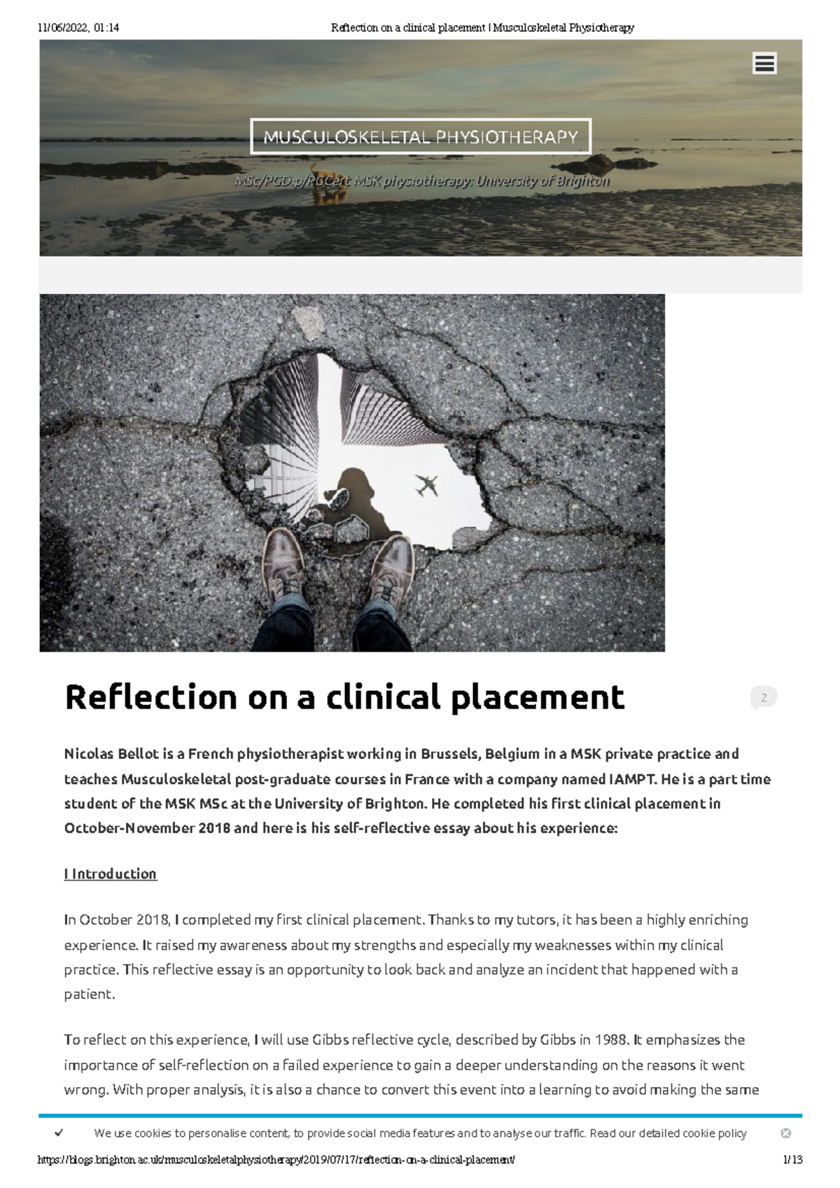 Reflection on a clinical placement Musculoskeletal Physiotherapy - Re ...