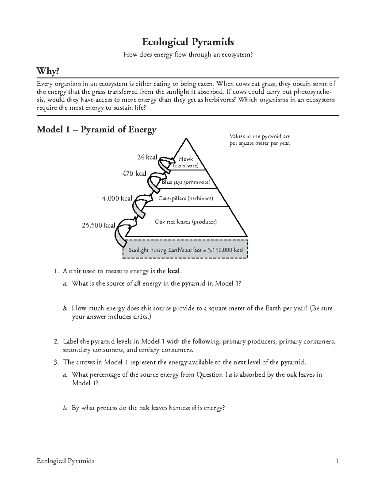 Ecological Pyramids: Energy, Numbers & Biomass - 26 Ecological Pyramids ...