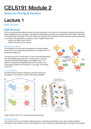 CELS191: Comprehensive Lecture Revision on Cell Structure & Molecular Biology - Studocu
