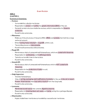 Hunt for the Wilderpeople essay - Extended Response The 2016 film” Hunt ...