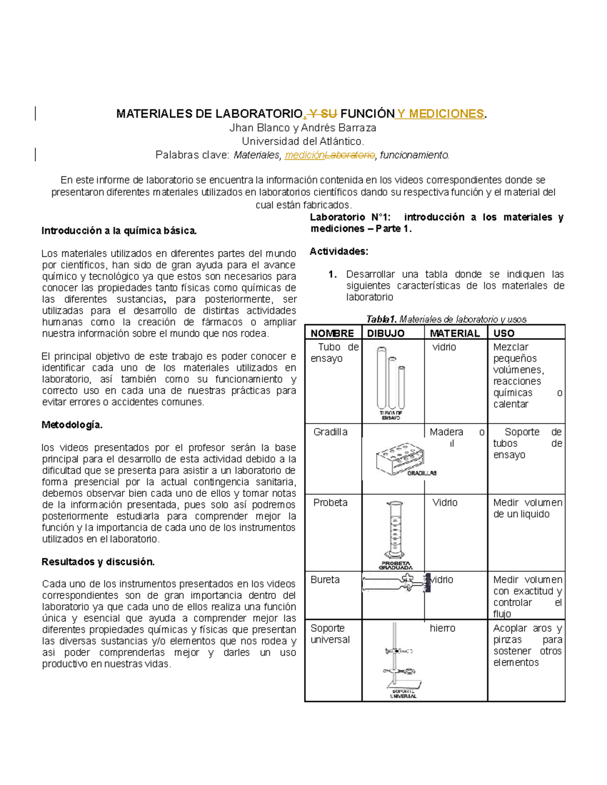 Ejemplo De Informe De Laboratorio De Química