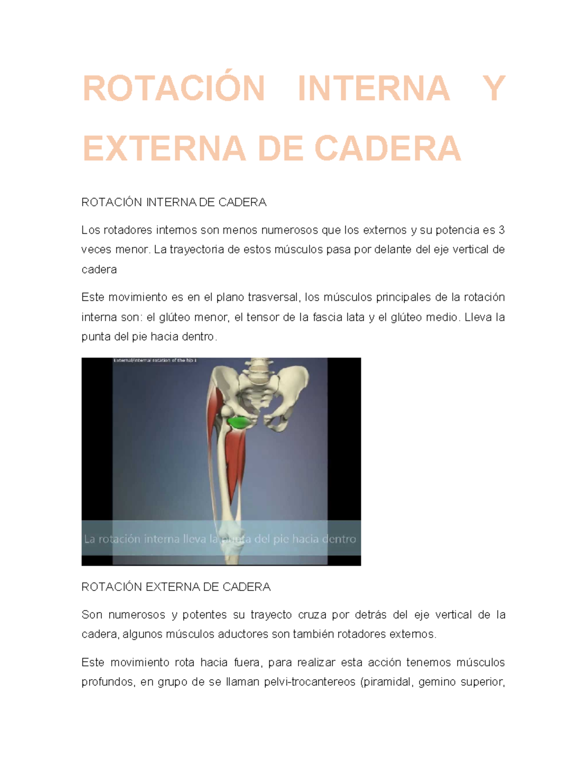 Rotación Interna Y Externa DE Cadera - ROTACIÓN INTERNA Y EXTERNA DE ...