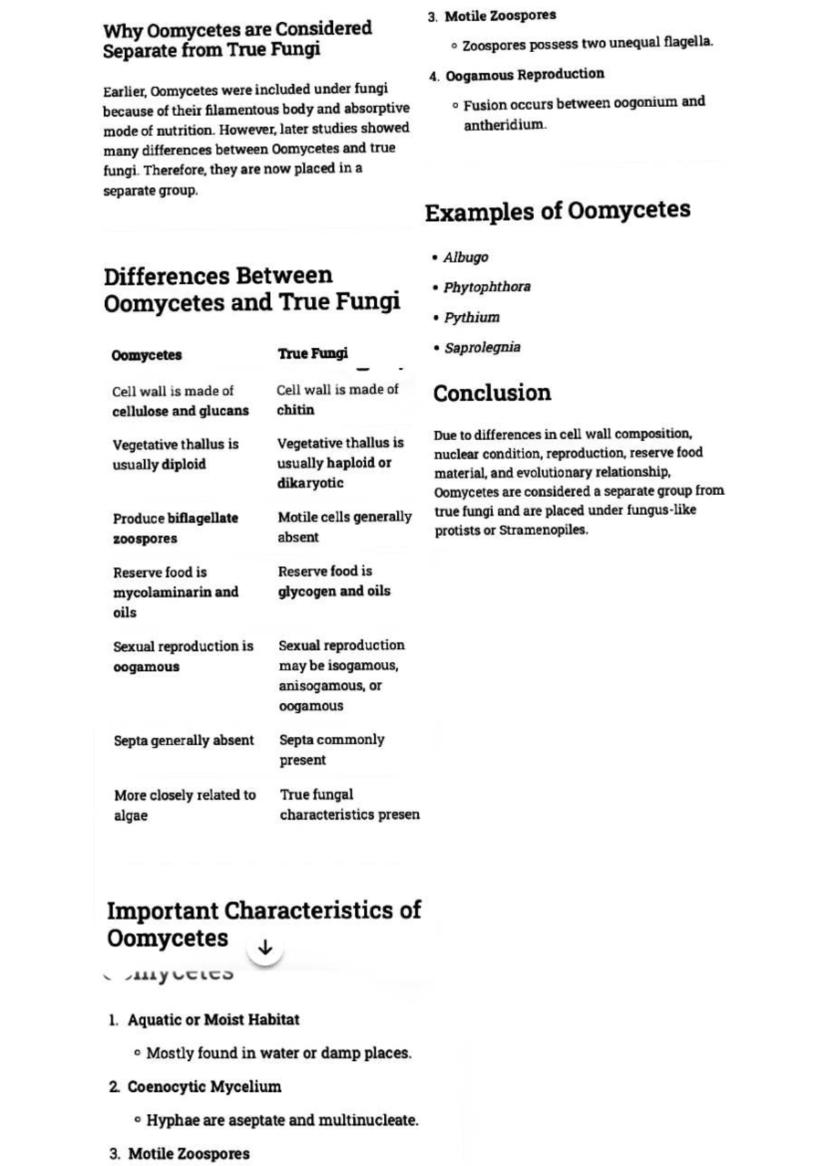 Oomycetes vs. True Fungi: Key Differences and Characteristics (BIO 101 ...