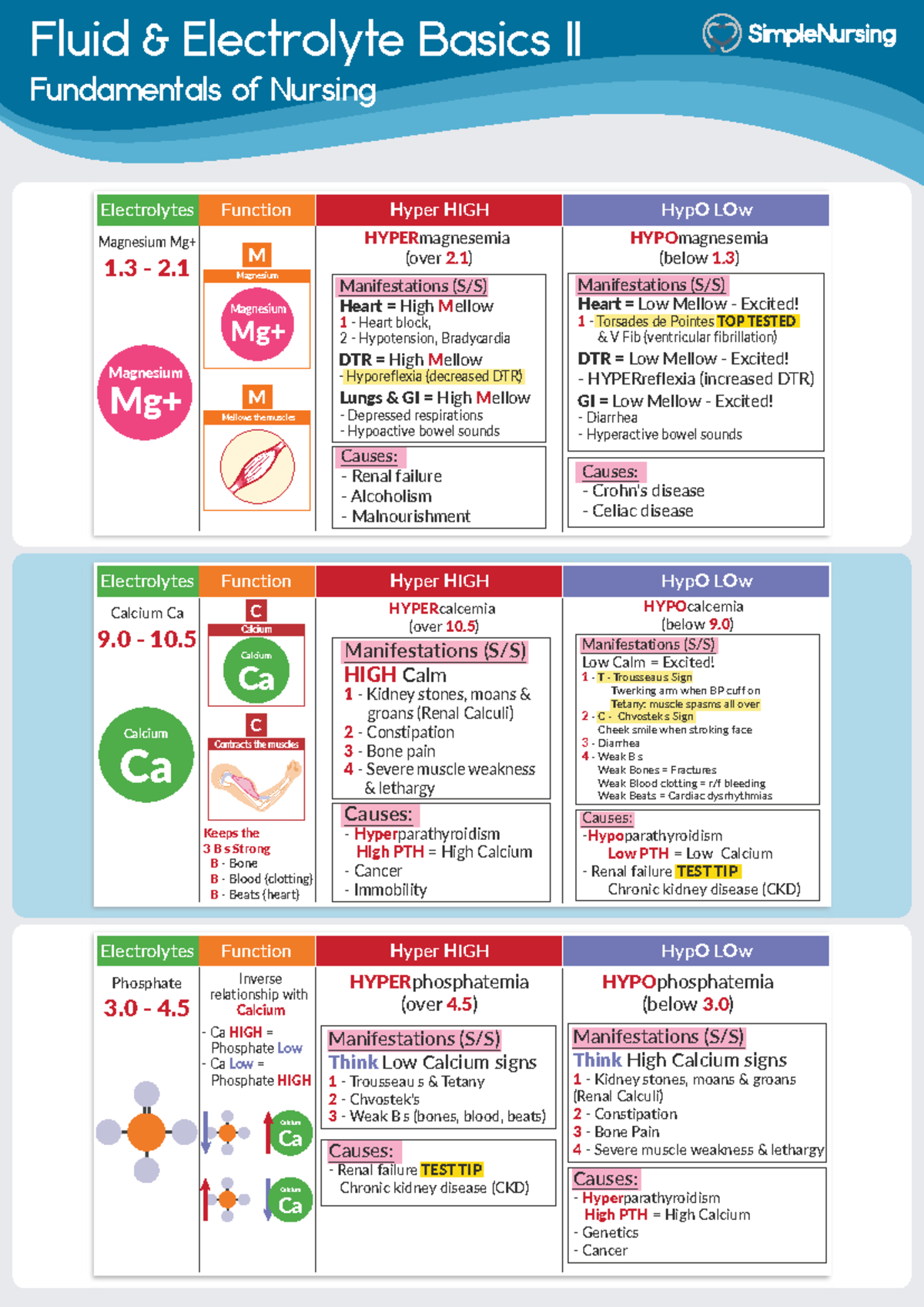 Fluid & Electrolyte Basics II: Mag, Ca, Phos Overview for Nursing - Studocu