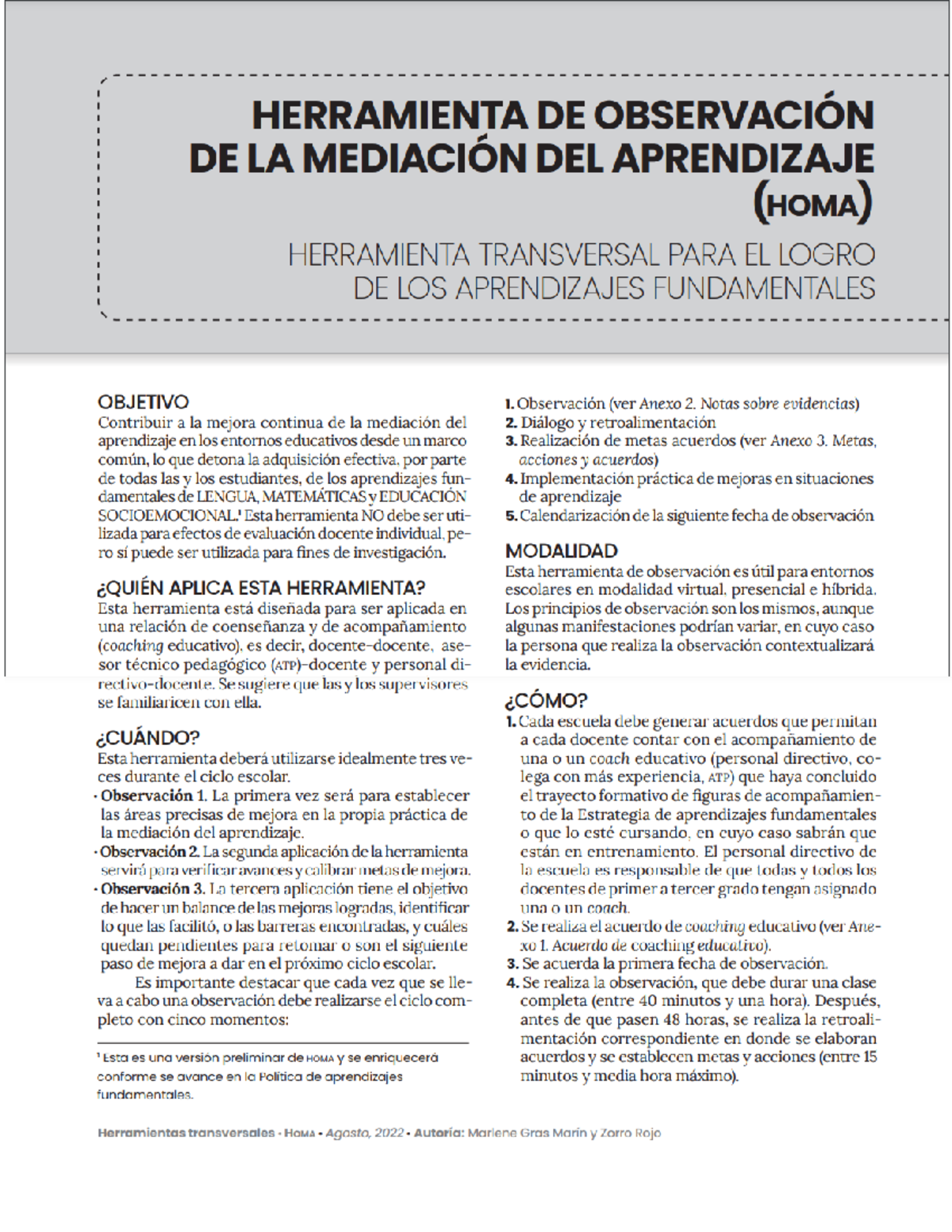 HOMA 2 - Observación de la Mediación del Aprendizaje y Mejora Continua ...