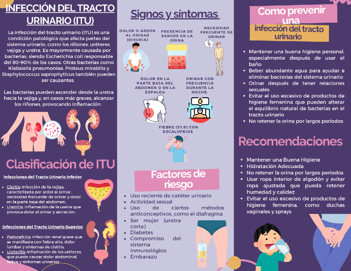Infografía sobre VIH: Signos, síntomas y prevención de ITU - Studocu