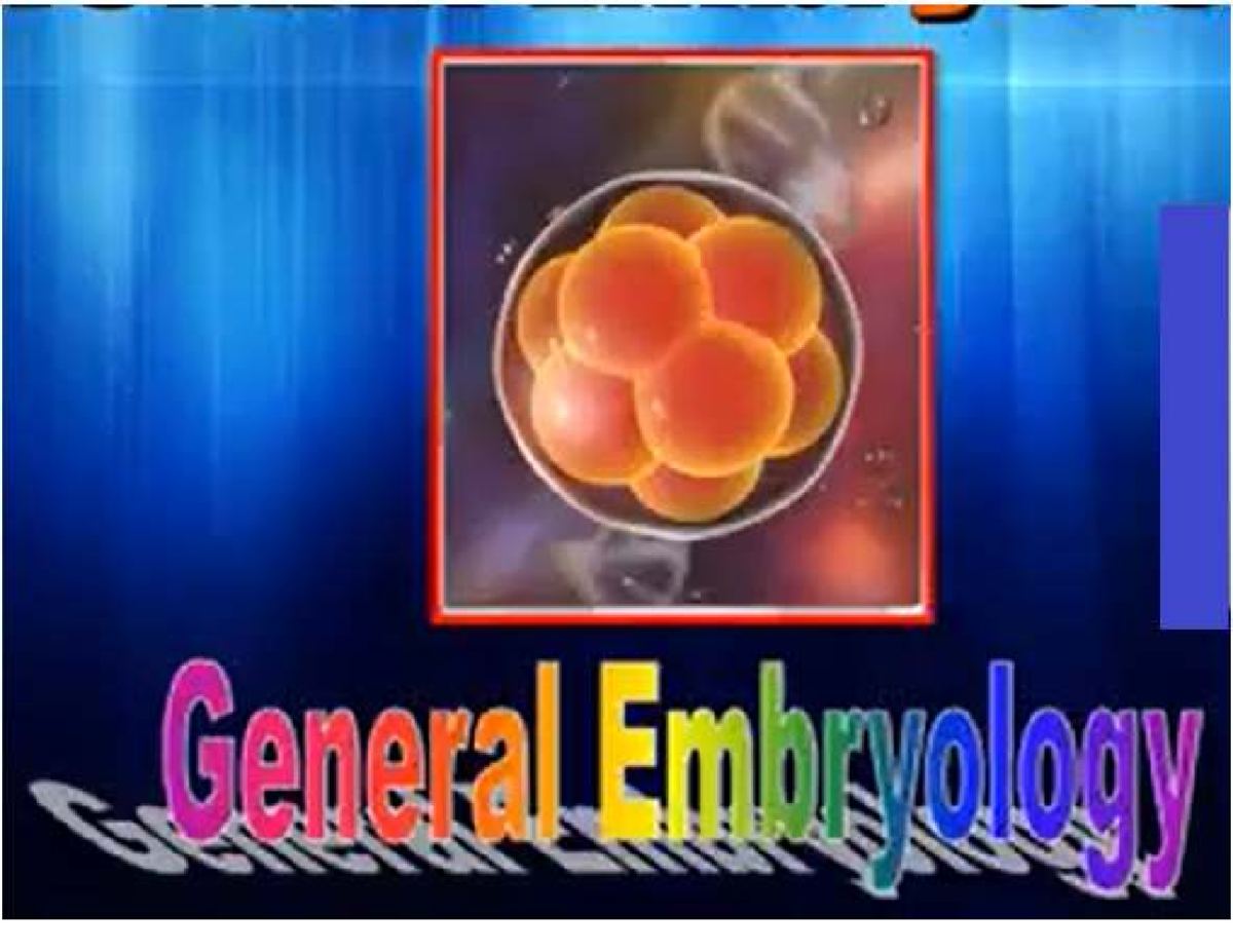Embryology - Lecture on Male and Female Genital Organs - Studocu