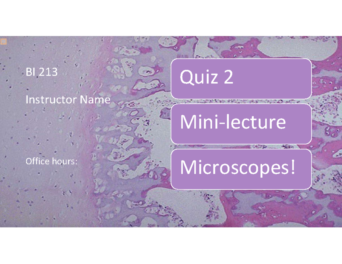 BI 213 Quiz 2: Cells and Tissues (Histology) Overview - Studocu