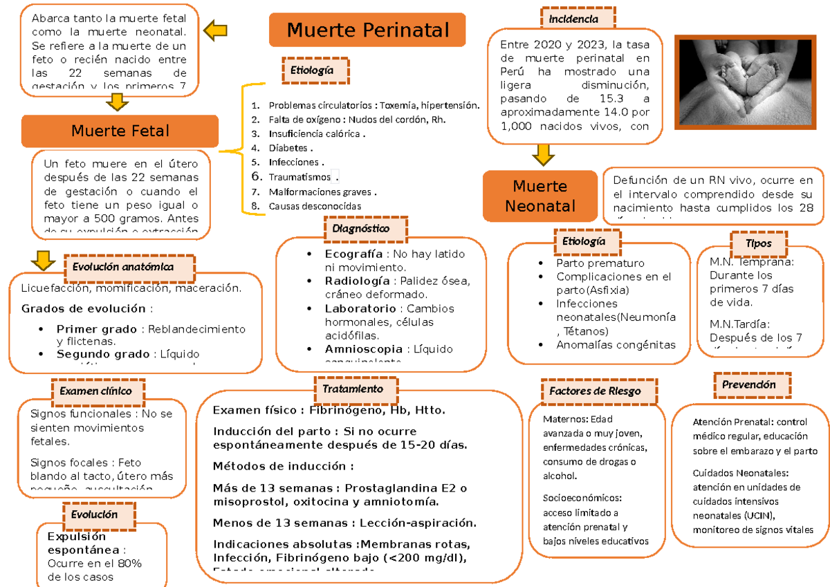 MAPA Muerte Perinatal - Resumen Obstetricia - Maternos: Edad avanzada o ...